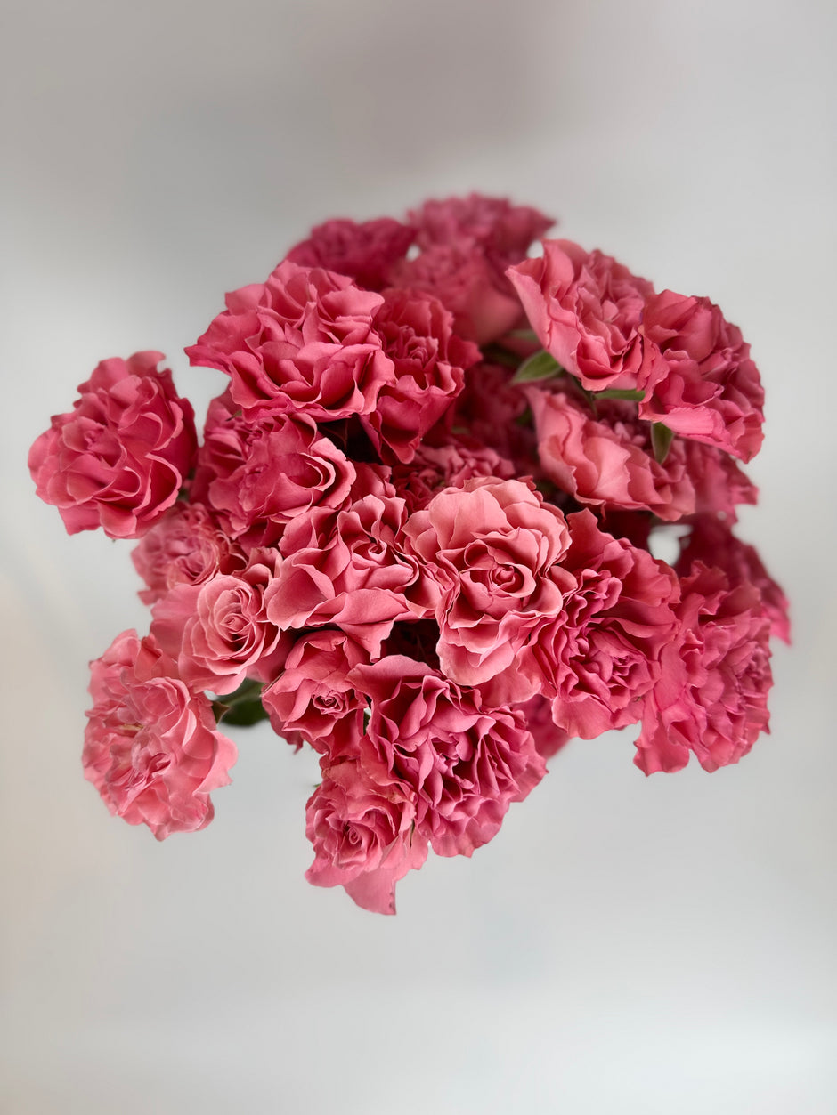 Spray Roses for Bouquets & Events | The Flower Hype