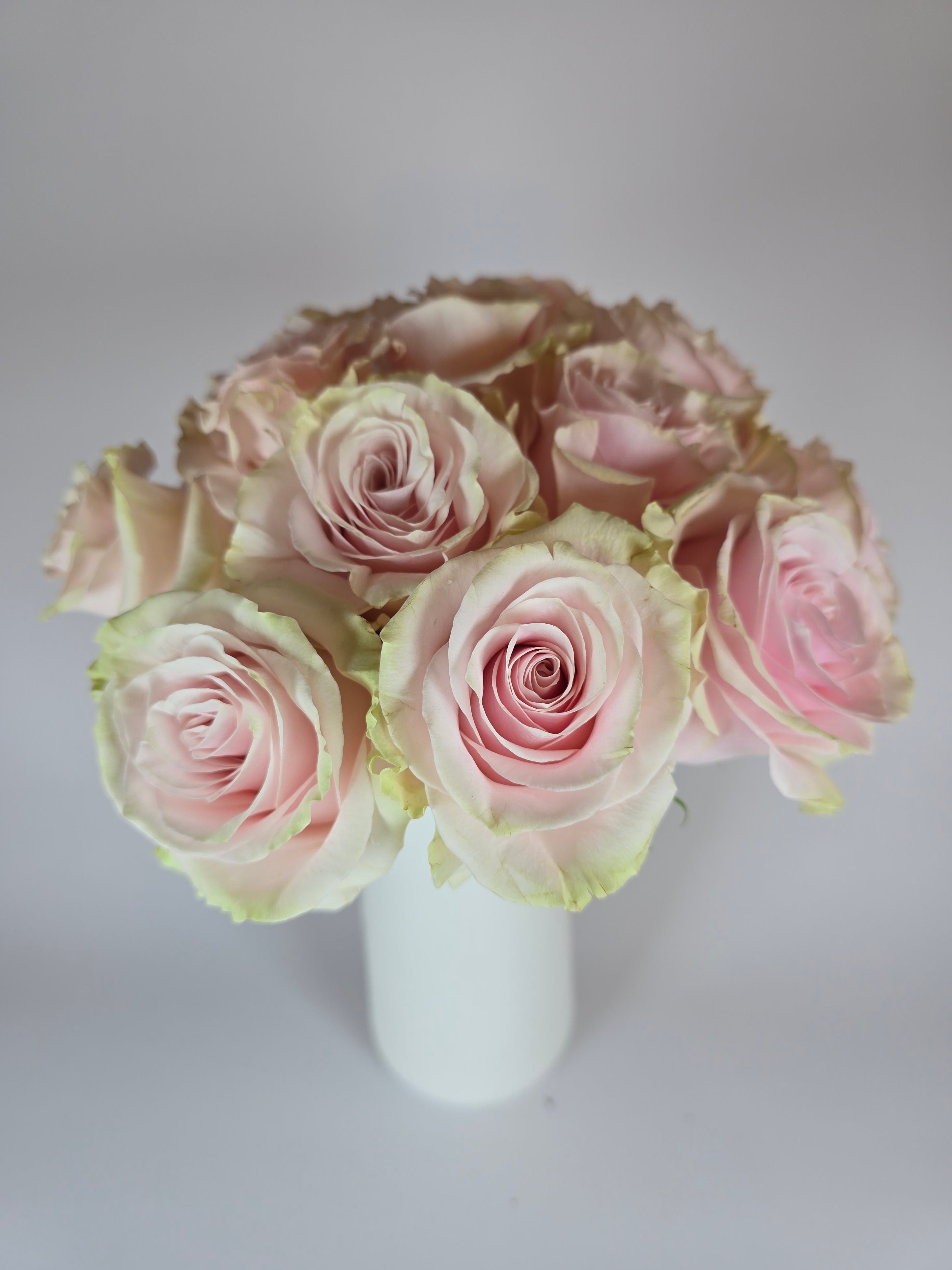 Pink Mondial Rose – The Flower Hype